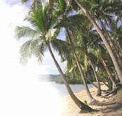 Husk Hair Care Shampoo - Husk vs Normal Shampoo